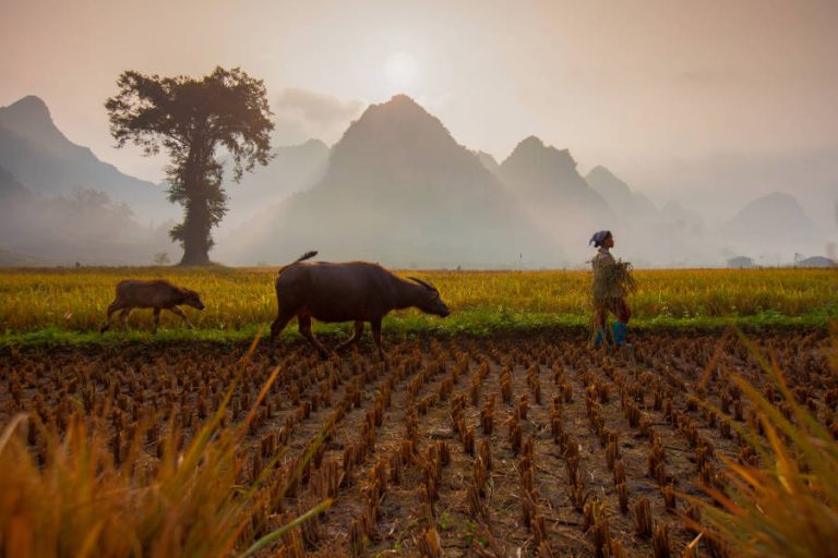 Sustainability certifications – EXO